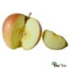 Pomme FUJI - Tout savoir sur cette Pomme et son Pommier